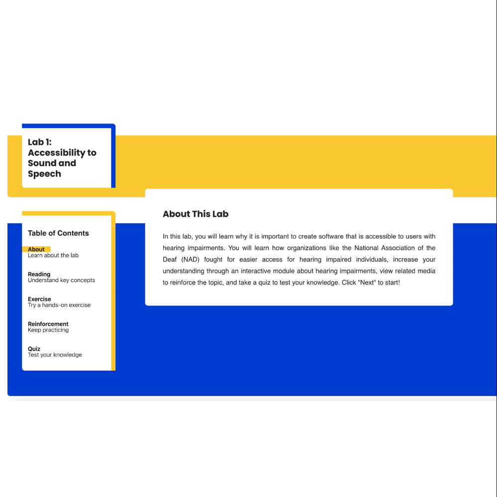 Accessible Learning Labs